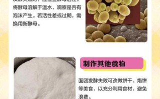 面点怎么和面更筋道_面点发酵失败怎么办