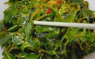 马齿苋怎么吃_灰灰菜有毒吗
