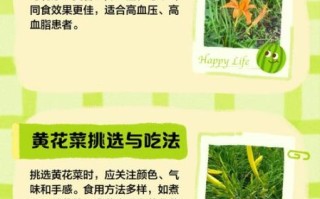 黄花菜什么时候种最好_黄花菜种植方法详解