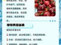 吃樱桃有什么好处_樱桃的营养价值高吗