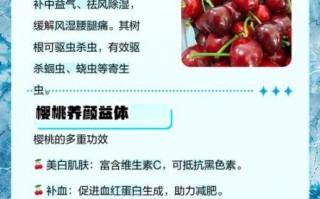 吃樱桃有什么好处_樱桃的营养价值高吗