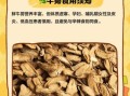 鲜牛蒡怎么吃最好_鲜牛蒡的吃法大全