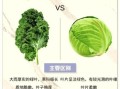 绿甘蓝和圆白菜的区别_哪个更营养