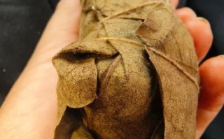 盗墓笔记粽子长什么样_粽子真实照片解析