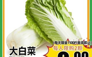 白菜价格今日价一斤_白菜多少钱一斤今天