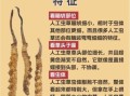 虫草的功效与作用有哪些_虫草主治什么病