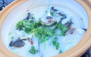 孕妇能喝鱼头汤吗_鱼头汤的做法孕妇版