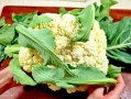 菜花叶子怎么做好吃_菜花叶子可以炒什么菜