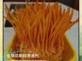 鲜虫草花不焯水会不会中毒_鲜虫草花中毒症状