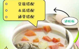 鲫鱼下奶汤的做法_鲫鱼汤怎么做下奶