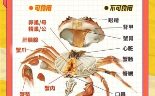 螃蟹内脏怎么清理_图解步骤详解