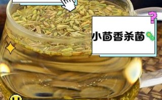 小茴香泡水喝的功效_小茴香泡水可以天天喝吗