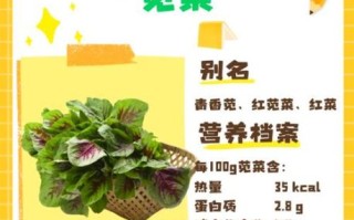 苋菜的营养价值_苋菜怎么做好吃