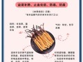 冬虫夏草怎么吃最好_冬虫夏草食用方法有哪些