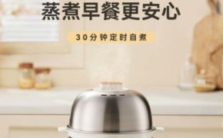 蒸蛋器什么牌子好_蒸蛋器选购技巧