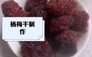 杨梅干怎么做_晒干的杨梅干保存多久
