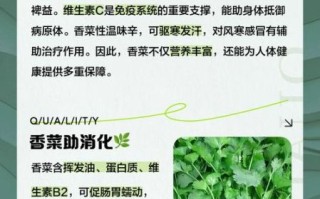 香菜的功效与作用_香菜吃多了有什么害处