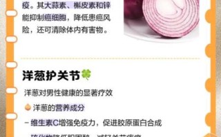 洋葱能提高男性性功能吗_洋葱对男性性功能的好处