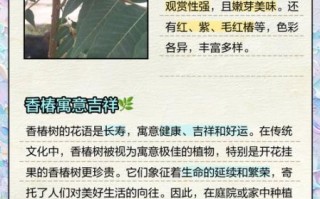 椿树最吉利的种植方位_椿树风水禁忌有哪些