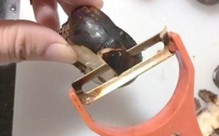 荸荠怎么挑选_荸荠图片大全