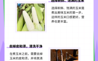 煮玉米需要多长时间_怎么煮才更甜