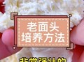 老面怎么保存_老面发面技巧有哪些