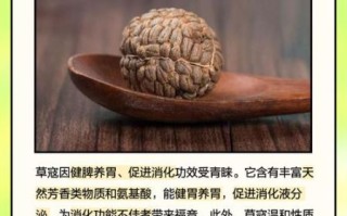 草寇香料的功效与作用_草寇香料怎么用 草寇香料的功效与作用_草寇香料怎么用