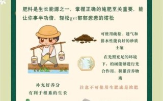 松塔盆栽怎么养_松塔盆栽多久浇一次水