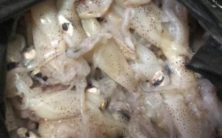 酱爆海兔子怎么做_酱爆海兔子家常做法