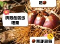 板栗什么人不能吃_哪些体质要忌口