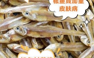 银鱼有什么功效与禁忌_银鱼适合什么人吃