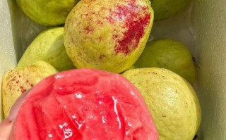 红心番石榴怎么吃_红心番石榴的吃法大全