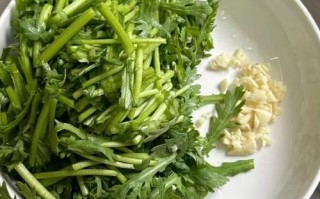 炒茼蒿需要焯水吗_茼蒿焯水多久才脆绿