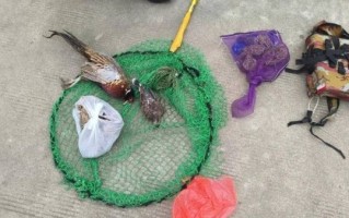 野鸡套怎么做_野鸡套制作方法 野鸡套怎么做_野鸡套制作方法