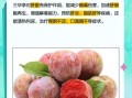 三华李的功效与害处_孕妇能吃吗