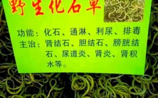 打结石的三种草药_真的有效吗