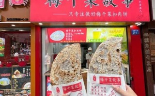 梅干菜烧饼小说是什么_梅干菜烧饼小说好看吗