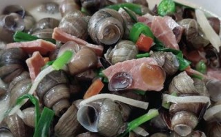 螺丝怎么煮好吃又简单_螺丝煮多久才入味