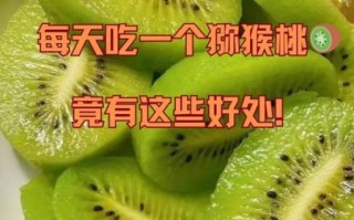 奇异果的功效与作用_奇异果一天吃几个最好