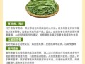 贡菜的功效与作用禁忌_贡菜吃多了有什么副作用