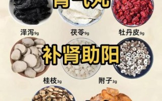 补肾中药有哪些_肾虚吃什么中药好