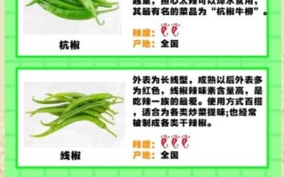 辣椒素对身体有害吗_辣椒素副作用有哪些