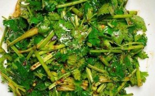 香菜的功效与作用_香菜怎么吃最好