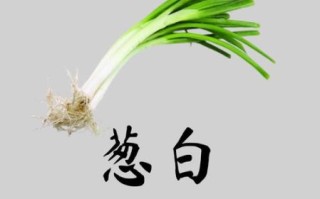 葱白煮水用大葱还是小葱_区别与功效