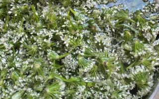 腌韭菜花怎么做好吃_腌韭菜花配方比例