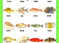 常见海鱼种类有哪些_深海鱼与浅海鱼区别