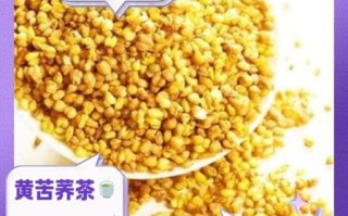 荞麦泡水喝有什么功效_长期喝荞麦茶好吗
