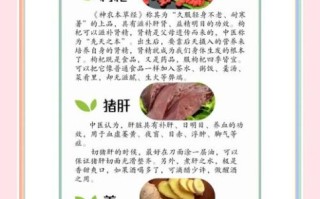 猪肝汤怎么煮不腥_猪肝汤补血效果好吗