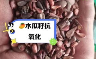 木瓜籽能直接吃吗_木瓜籽怎么吃才安全