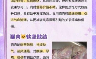 吃猫肉有什么好处_吃猫肉有什么坏处